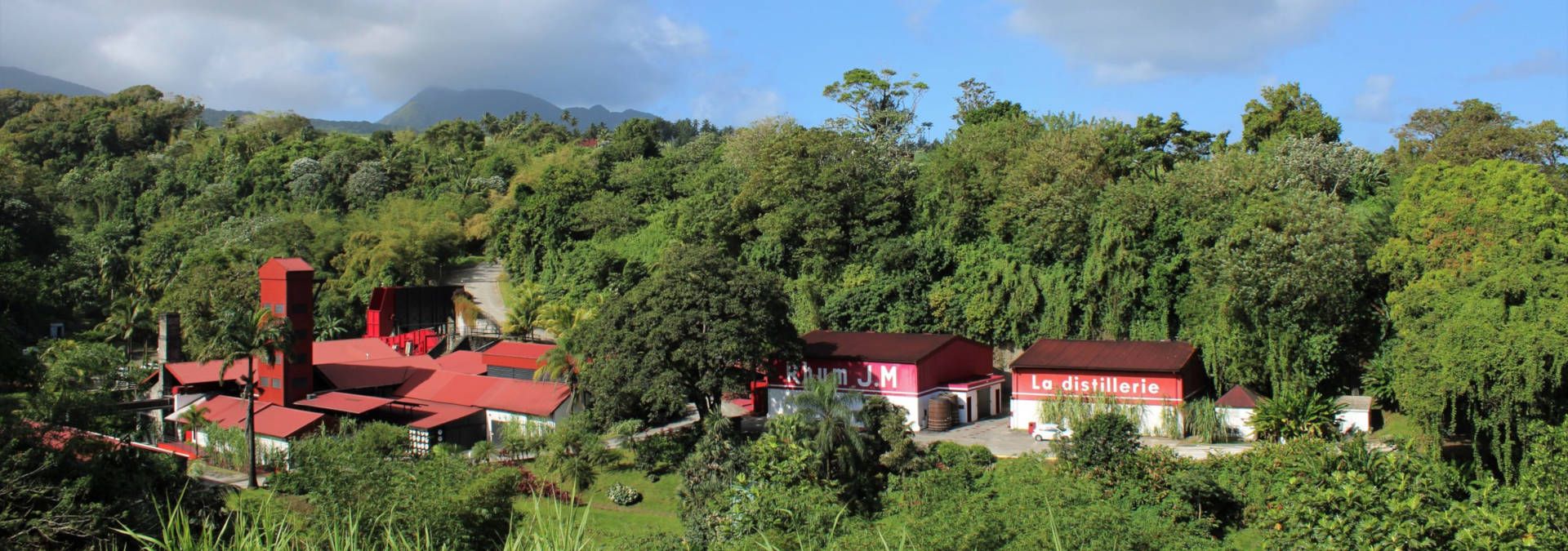 ⭐️ Visite Rhumerie JM, Martinique ️ Avis, Tarifs - 2024
