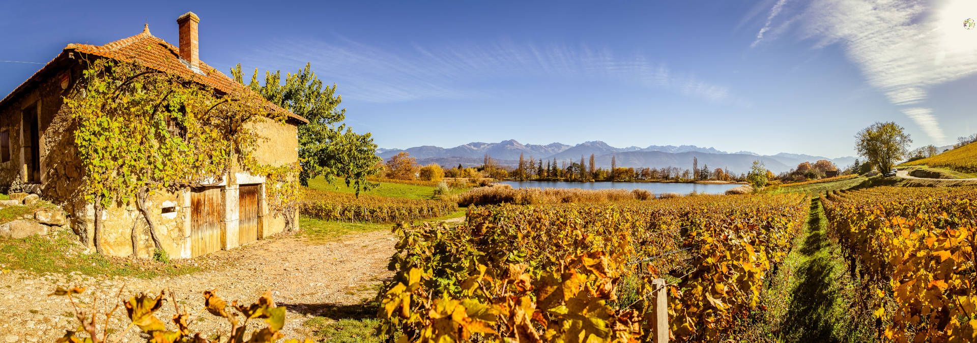 ⭐️ Domaine Philippe et Sylvain Ravier Tour, Myans ️ Reviews, Price - 2024