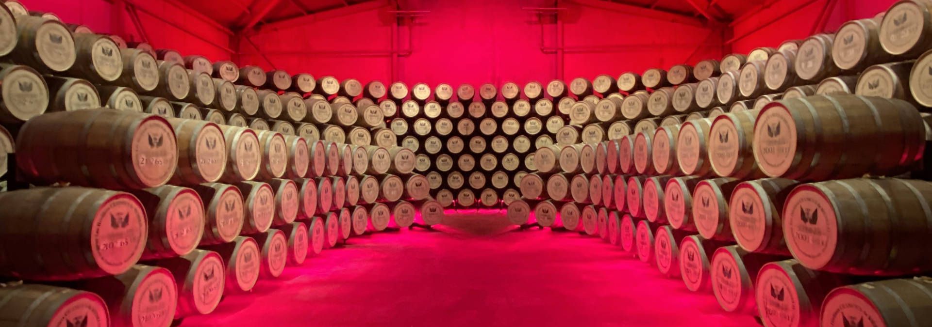 ⭐️ Visite Rhumerie JM, Martinique ️ Avis, Tarifs - 2024