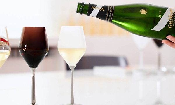 ⭐️ Mumm Champagne Tour, Reims ️ Reviews, Price - 2024