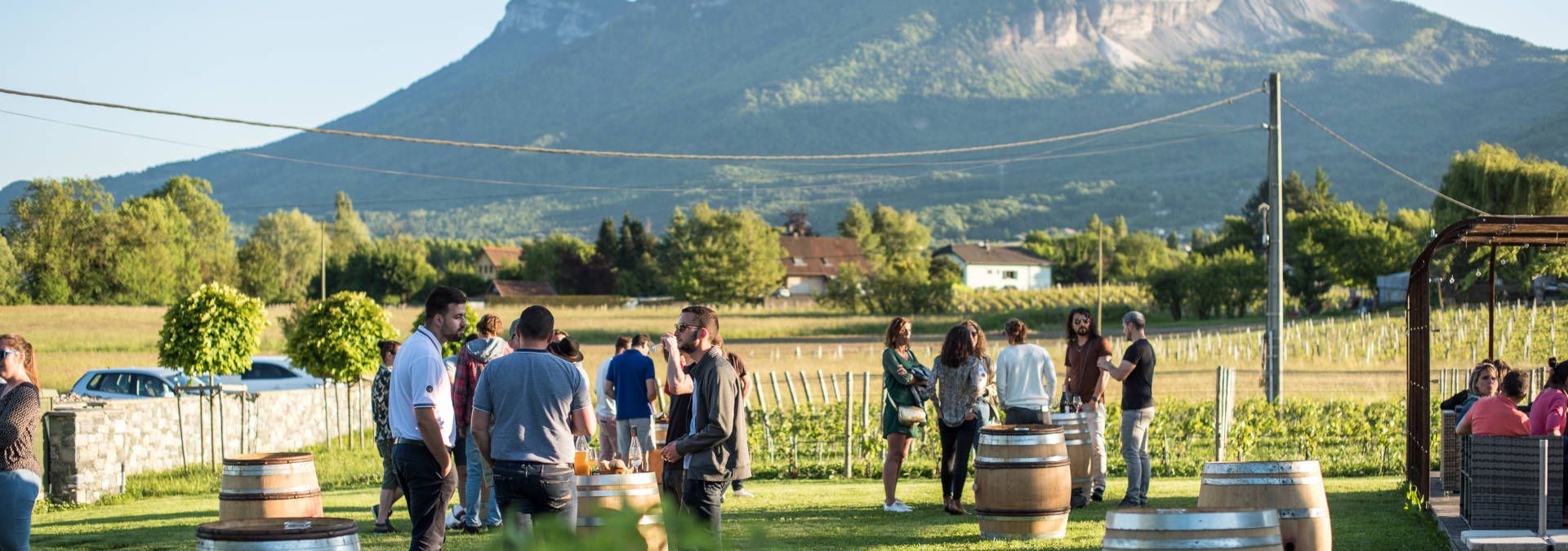 ⭐️ Domaine Philippe et Sylvain Ravier Tour, Myans ️ Reviews, Price - 2024