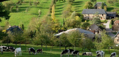 Normandie - Calvados distillery visit & tasting
