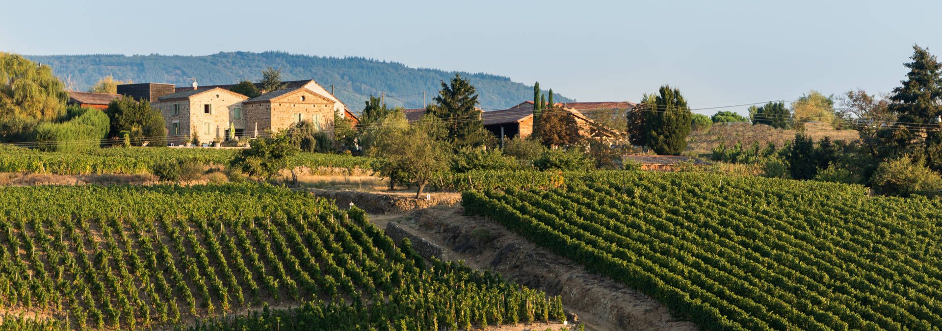 ⭐️ Domaines Pierre Gaillard Tour ️ Reviews, Price - 2024