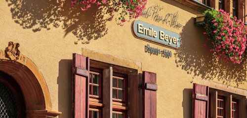 Colmar ⭐️ 10 Best Wineries & Vineyards to Visit ️ 2024