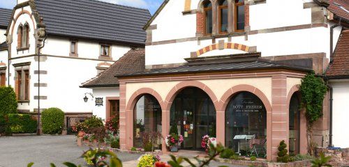 Colmar ⭐️ 10 Best Wineries & Vineyards to Visit ️ 2024